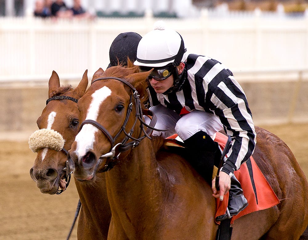 Laurel: Red's Round Table takes fourth straight stakes in Wide Country