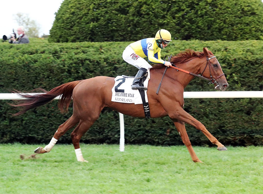 Red Knight has changed his ways