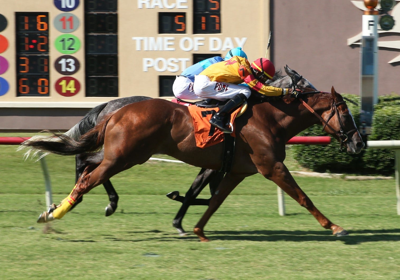 Deshawn Parker wins four of seven Texas Champions Day stakes