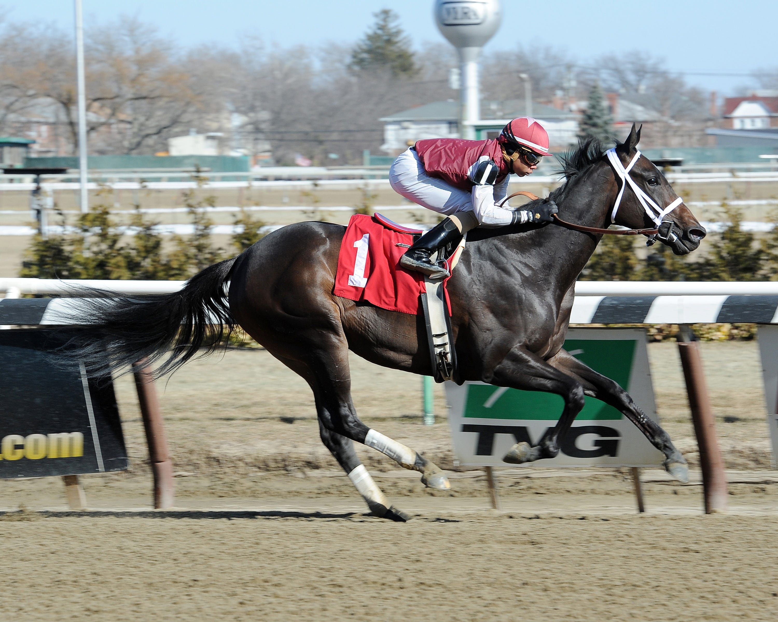 Regent's House, daughter of champion Ashado, returns in allowance