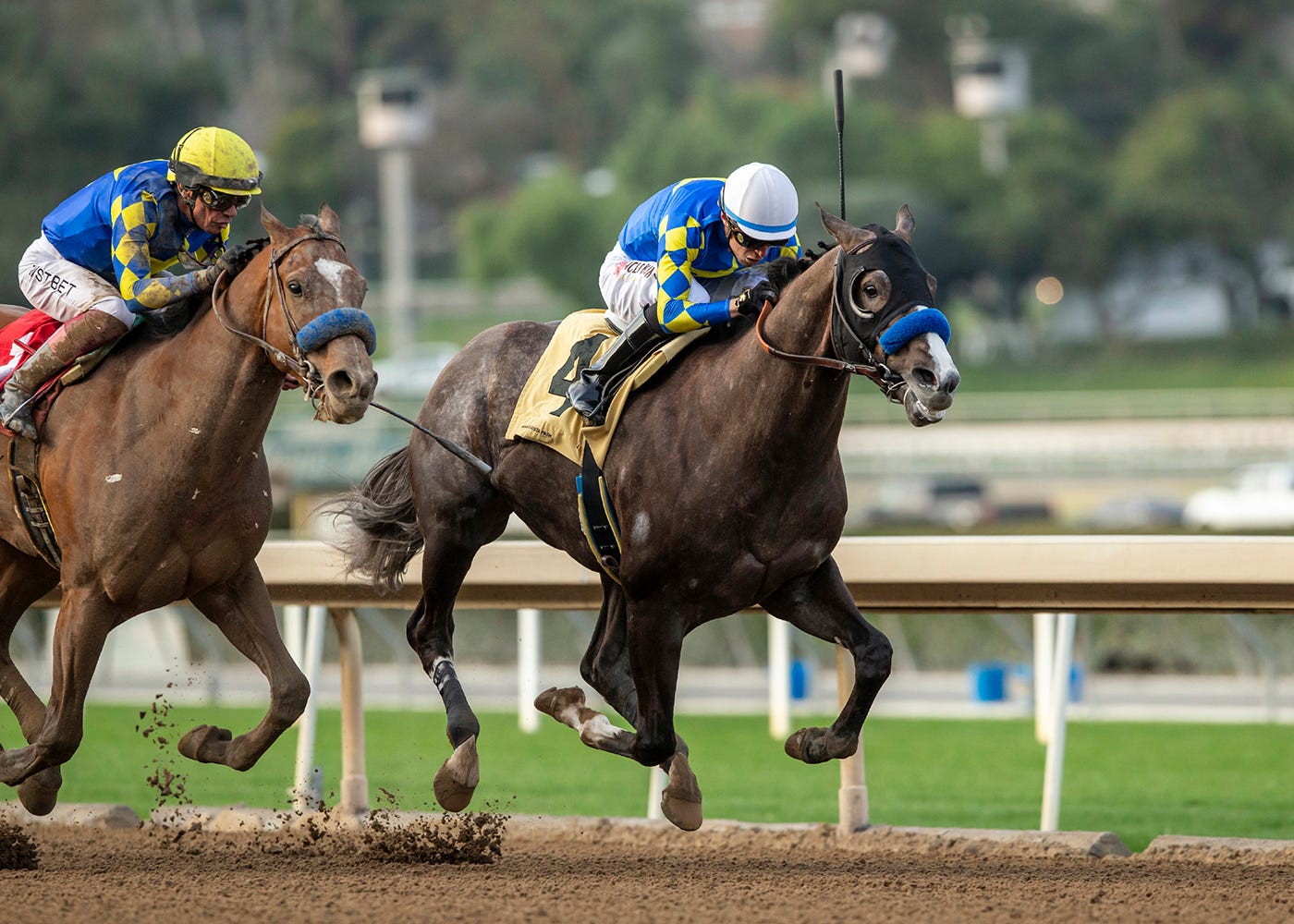 Road to the 2023 Kentucky Derby: Sham Stakes analysis