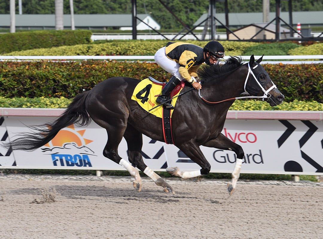 Three starter races featured on Gulfstream card