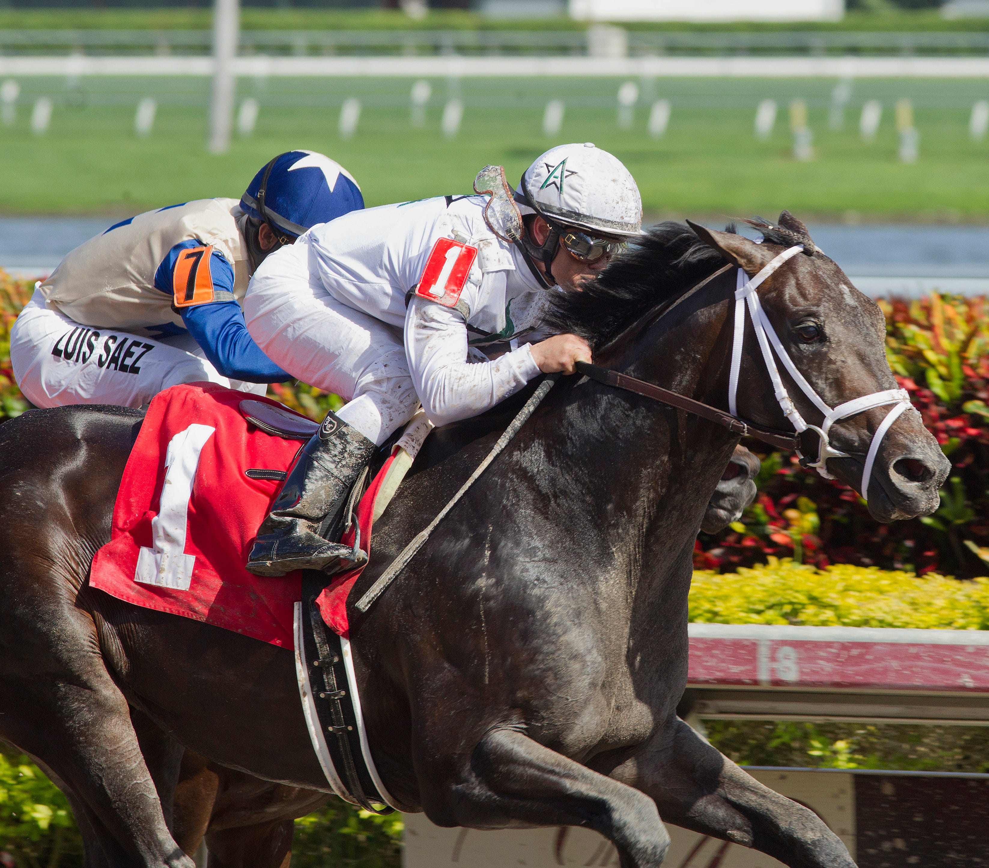 Dick Jerardi: Revolutionary's Beyer Speed Figure revisited