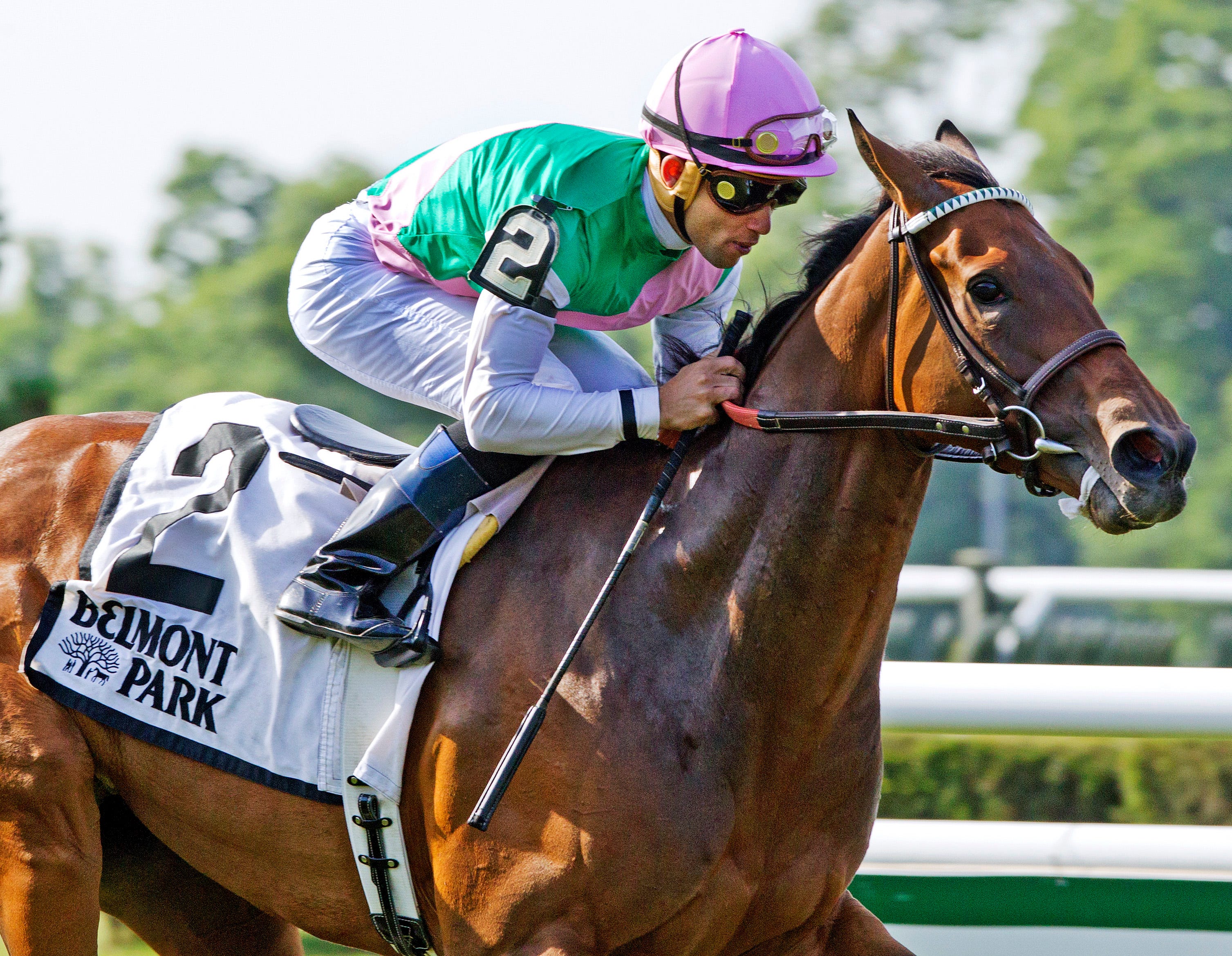 Riposte done for the year