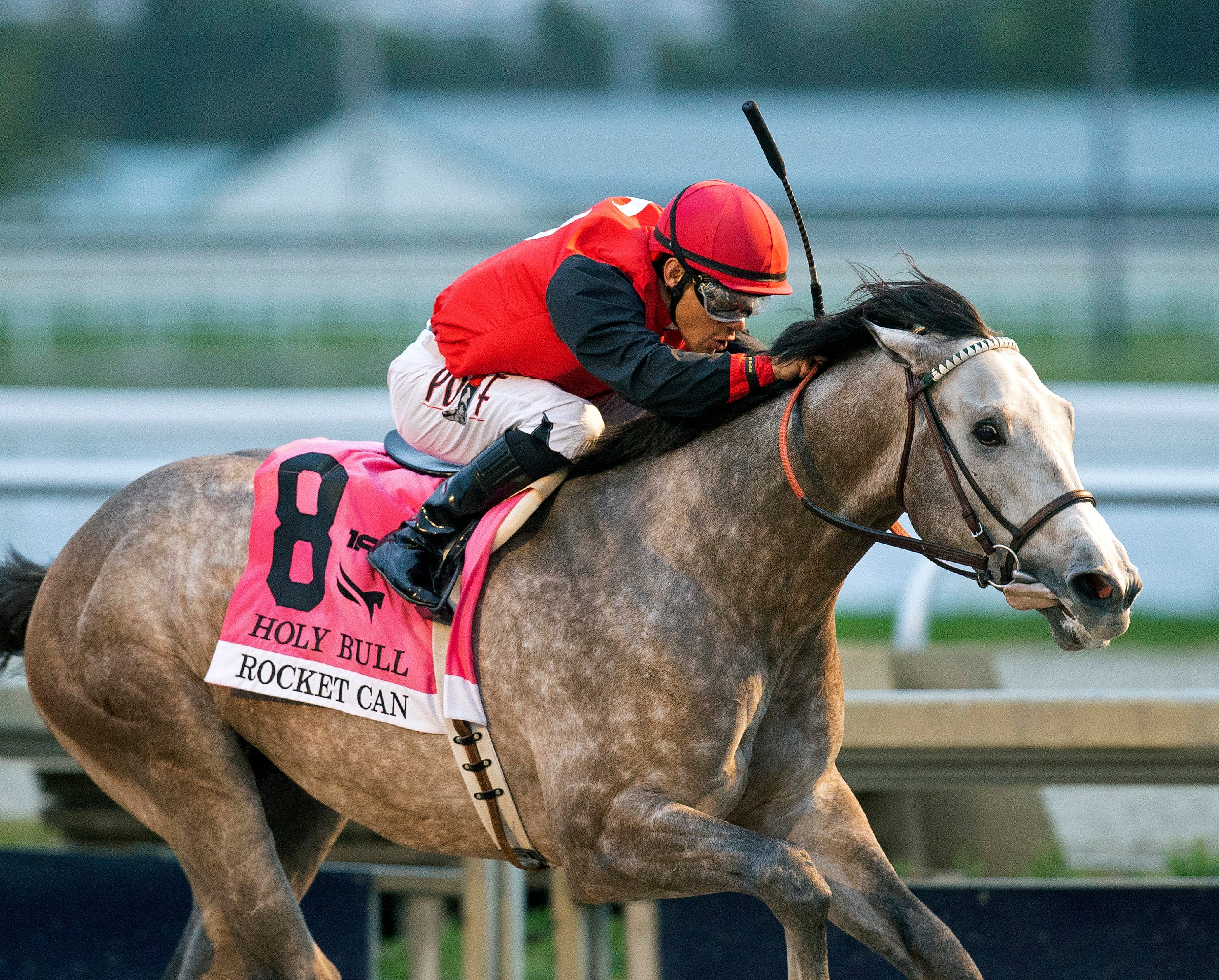 Rocket Can holds off Shadow Dragon for Holy Bull triumph