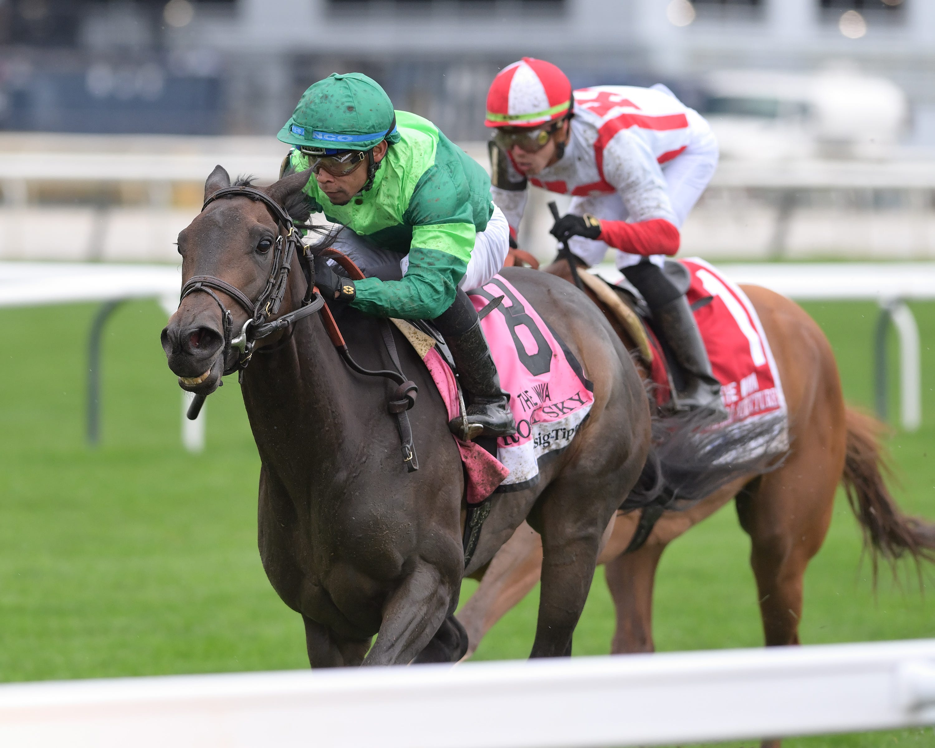 Rocky Sky holds off Capital Structure for Waya victory