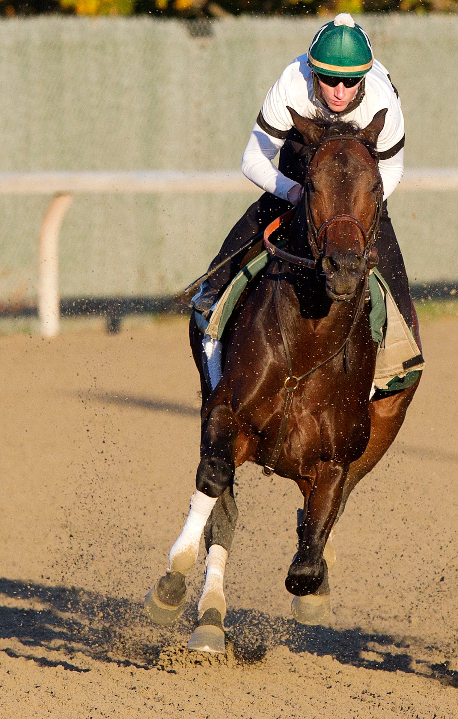Breeders' Cup clocker report: Royal Delta cruises in five-furlong drill ...