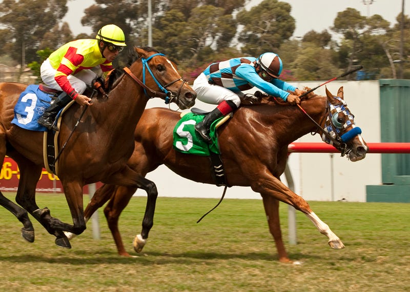 Hollywood Park: Rosengold holds off Pure Loyalty to win Tsunami Slew