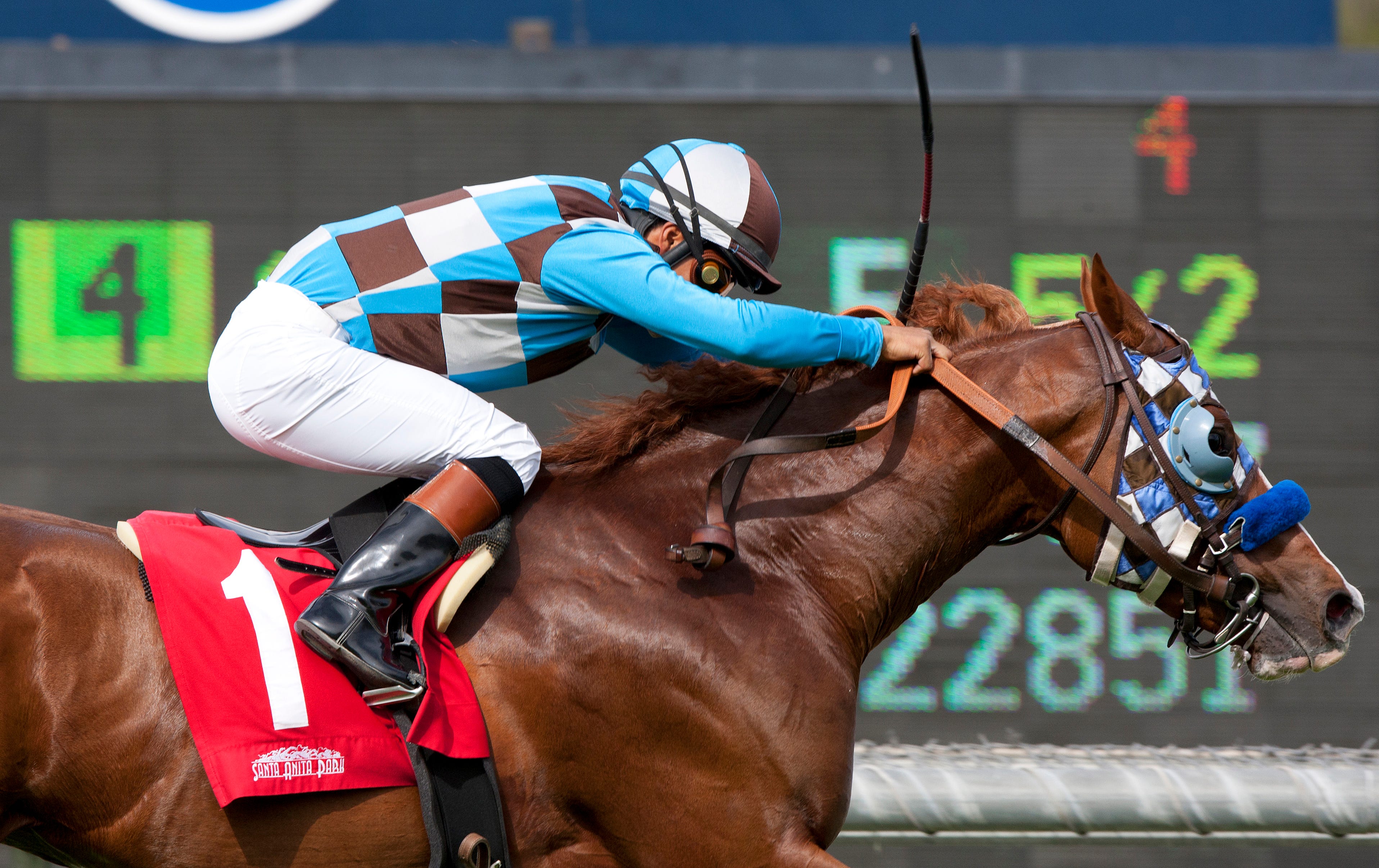 Hollywood Park: Rosengold breezes for Tsunami Slew Stakes