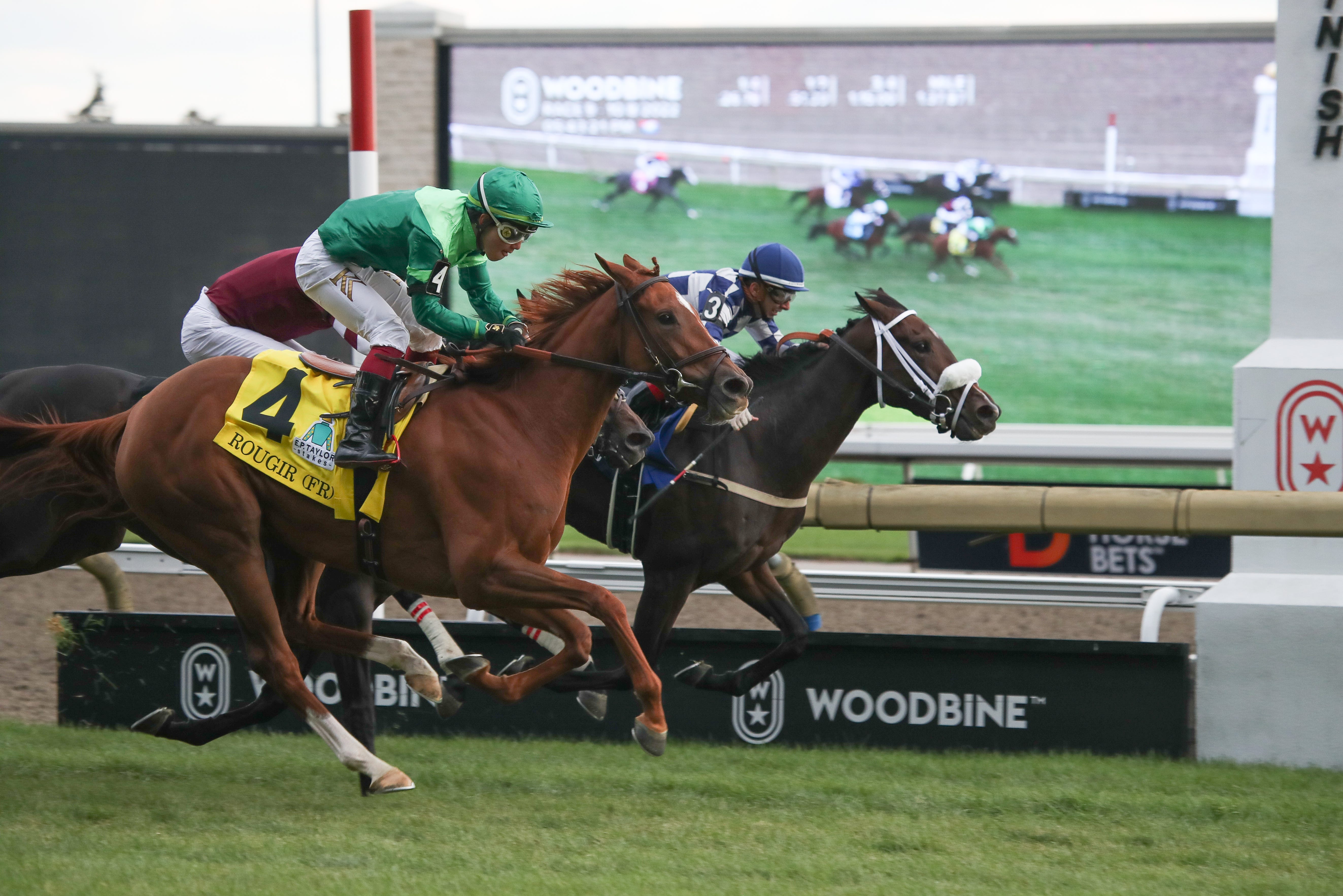 Rougir gets up in final strides of E.P. Taylor; Moira disqualified for ...