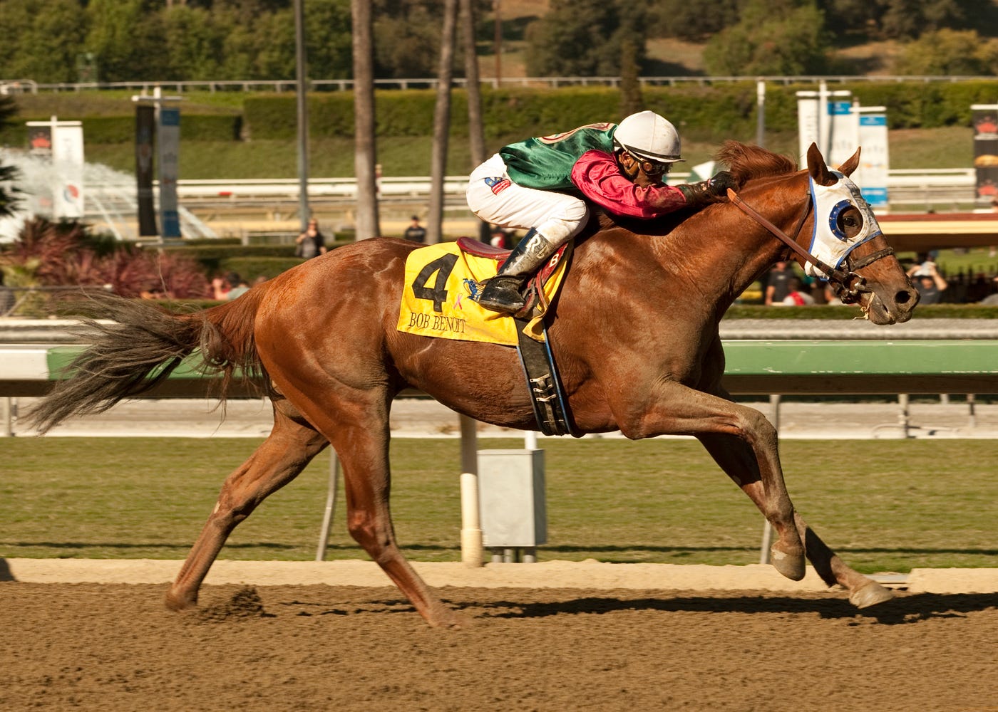 Rousing Sermon out to become Lucky Pulpit's richest foal this year