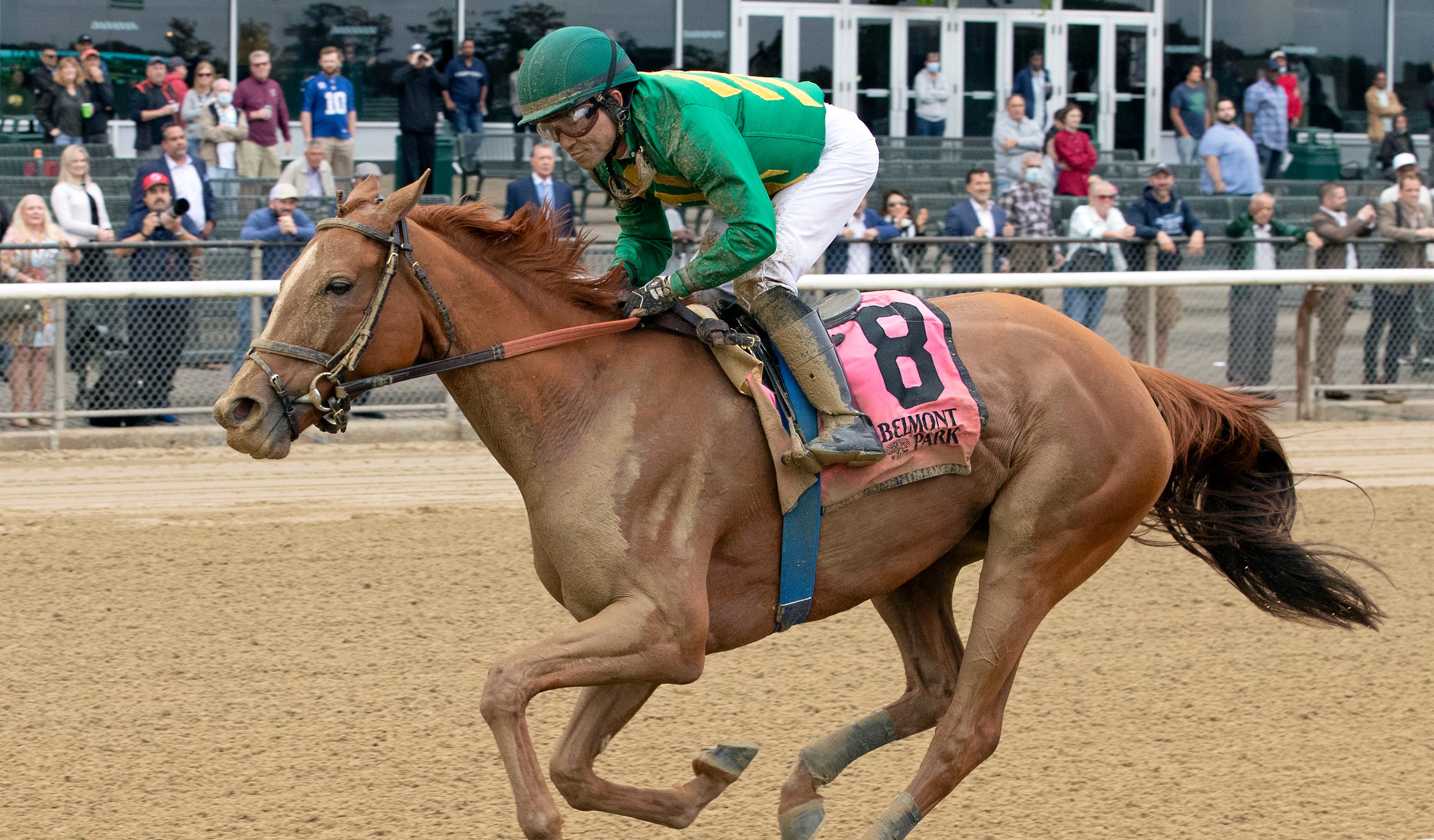 Royal Flag carries BC Distaff banner in Ruffian