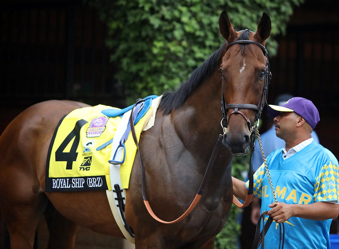 Royal Ship, Soothsay done for the year