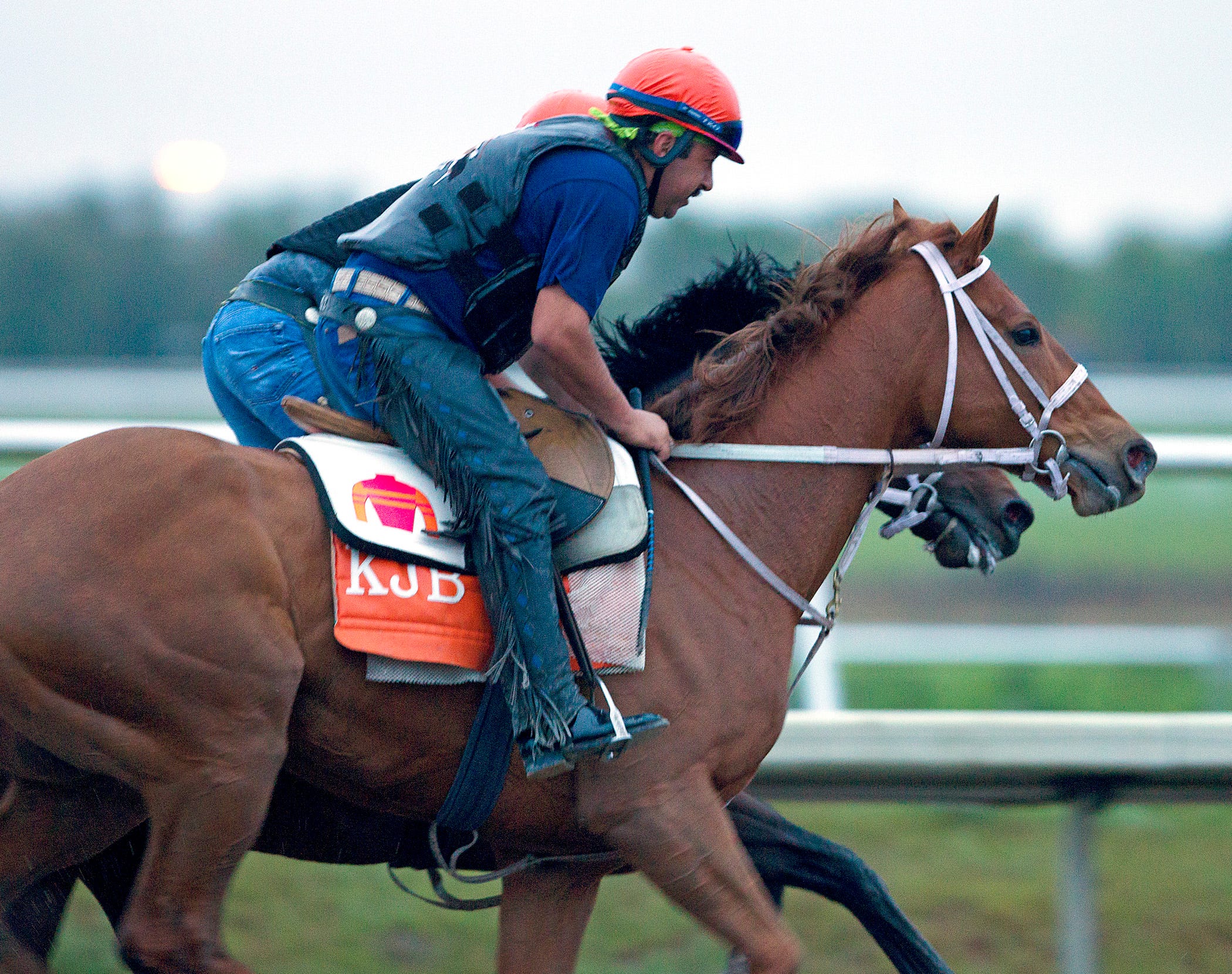 Ruler On Ice back at Belmont