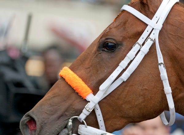 Ruler On Ice's breeders make a winning team