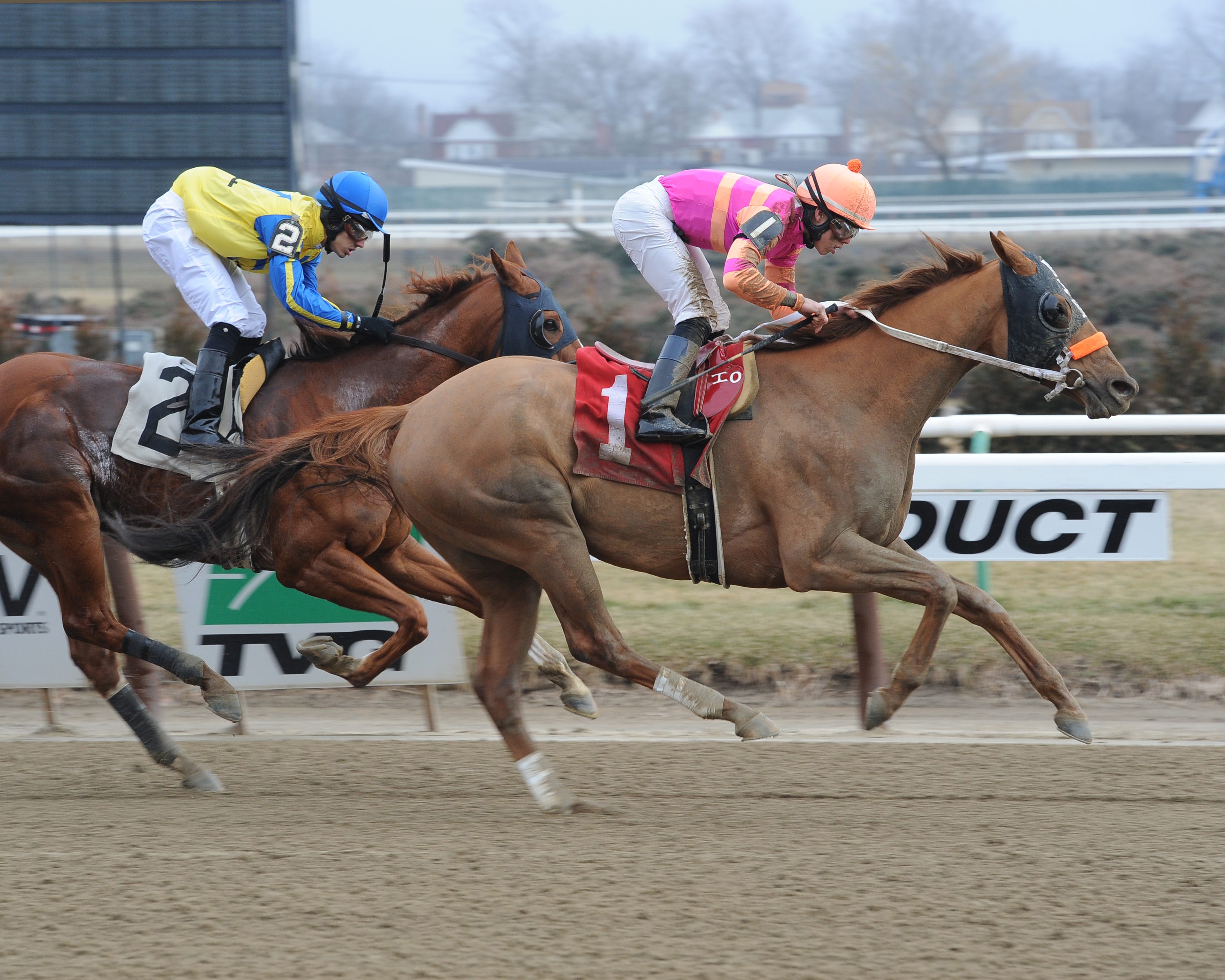 Aqueduct: Belmont winner Ruler On Ice ends long drought