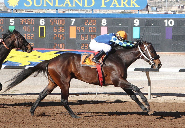 Runaway Ghost has surgery, eyes return in 2020