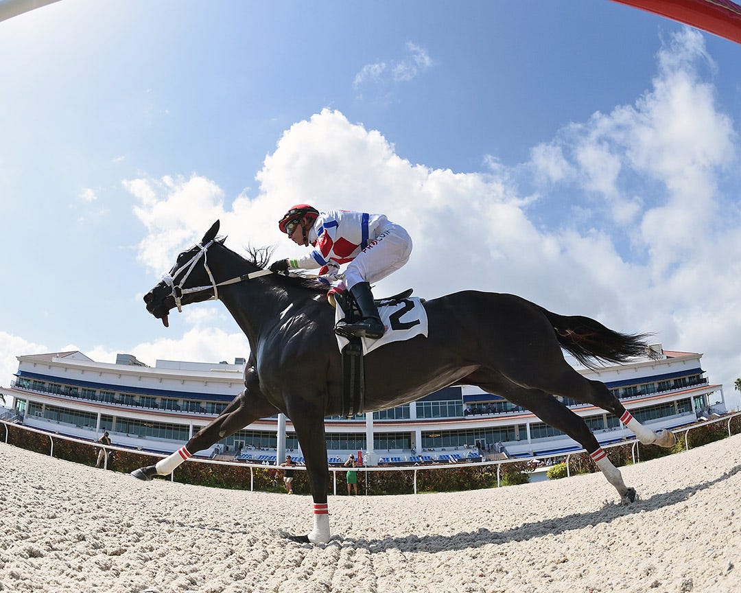 Running Memories, Poseidon's Passion rematched on Tapeta