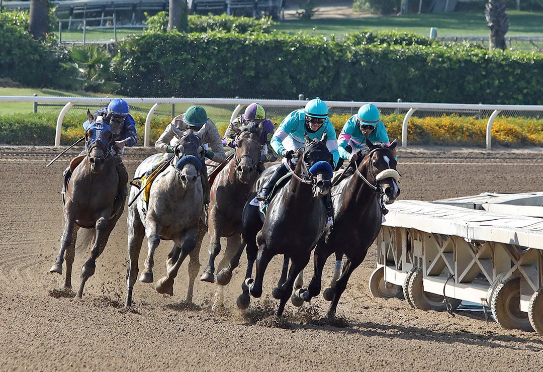 DRF's Horse Racing Playbook for Thursday, January 16, 2025