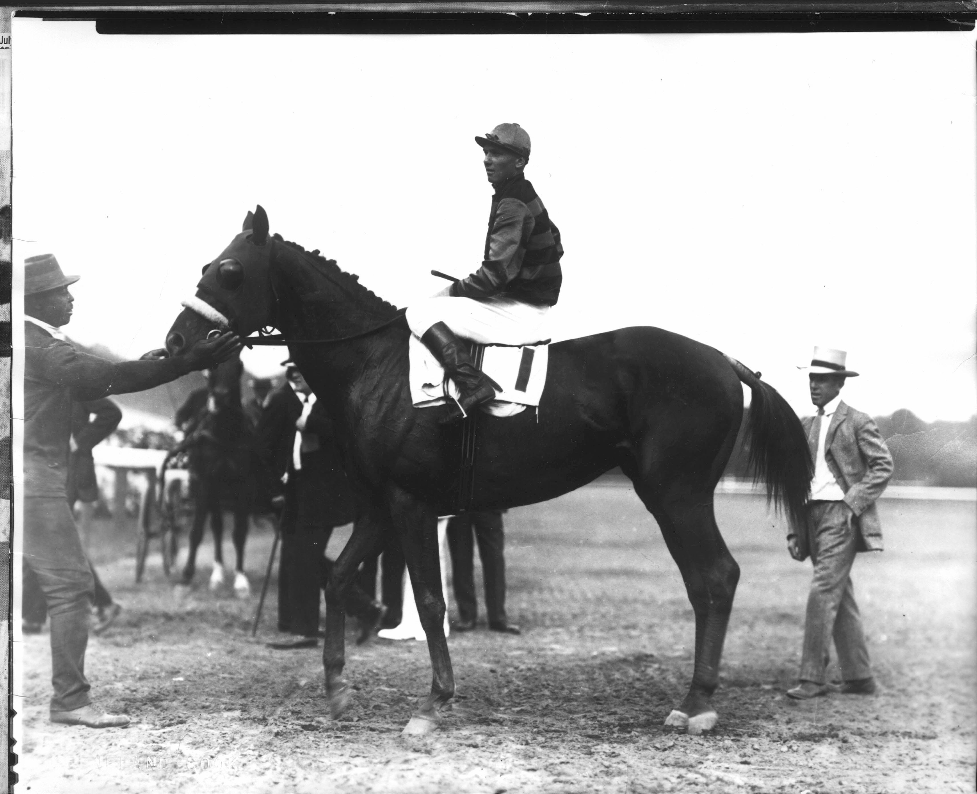 Largest Horse In The World 1928