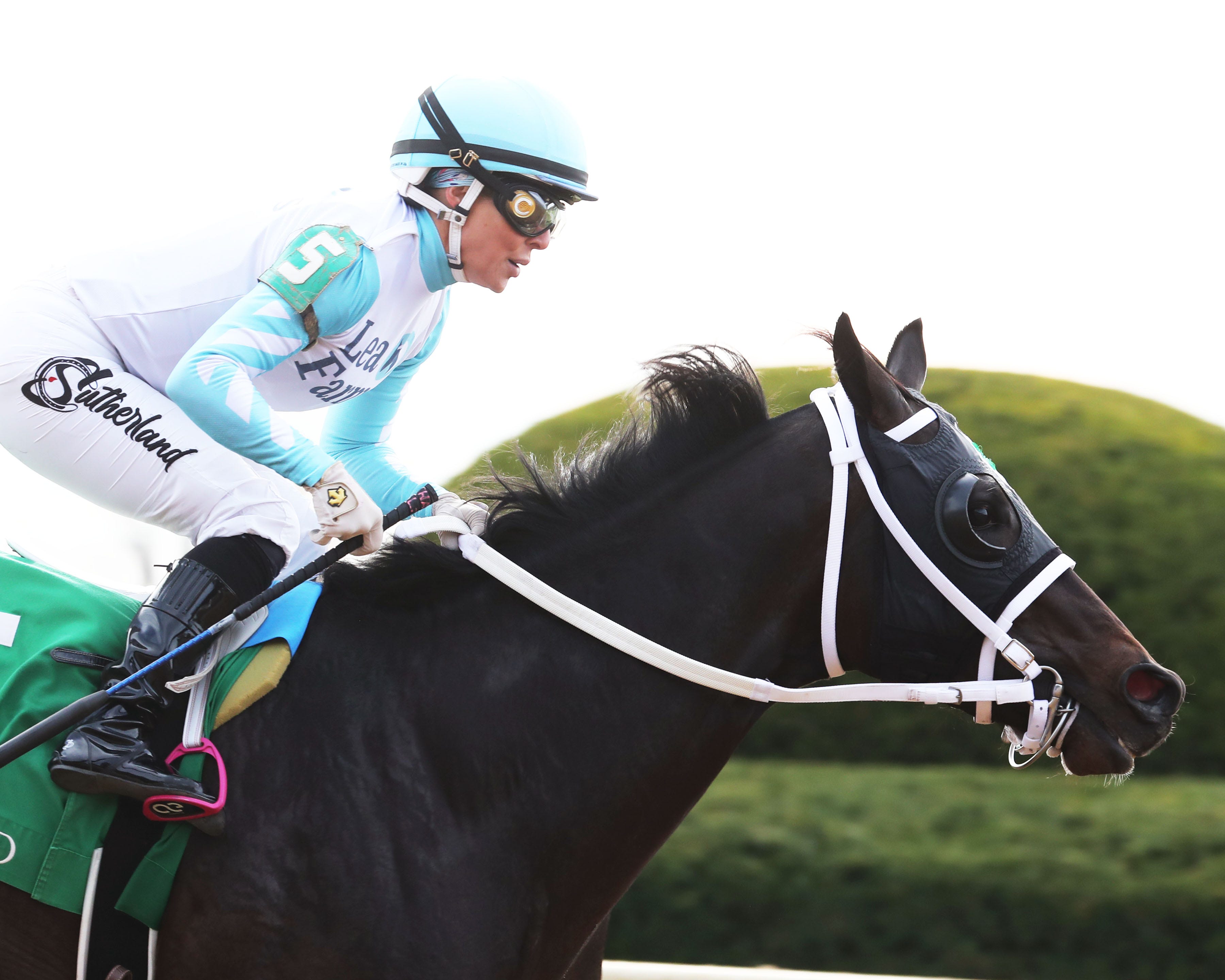 Super Chow overpowers the speed in Bowman Mill