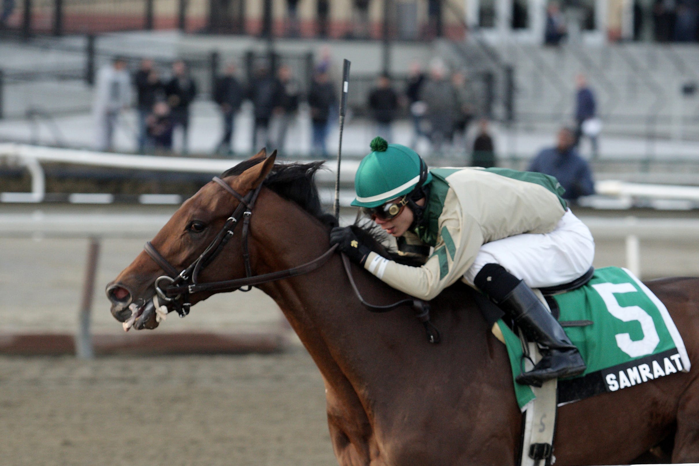 Steven Crist: Here comes the Wood, after a long, cold, lonely winter