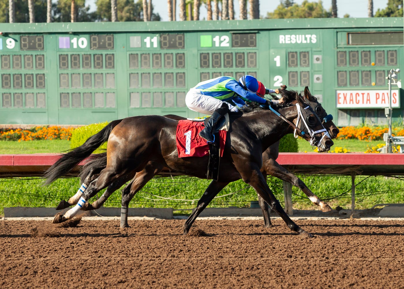 Samurai Charm makes Dark Mirage fifth consecutive triumph
