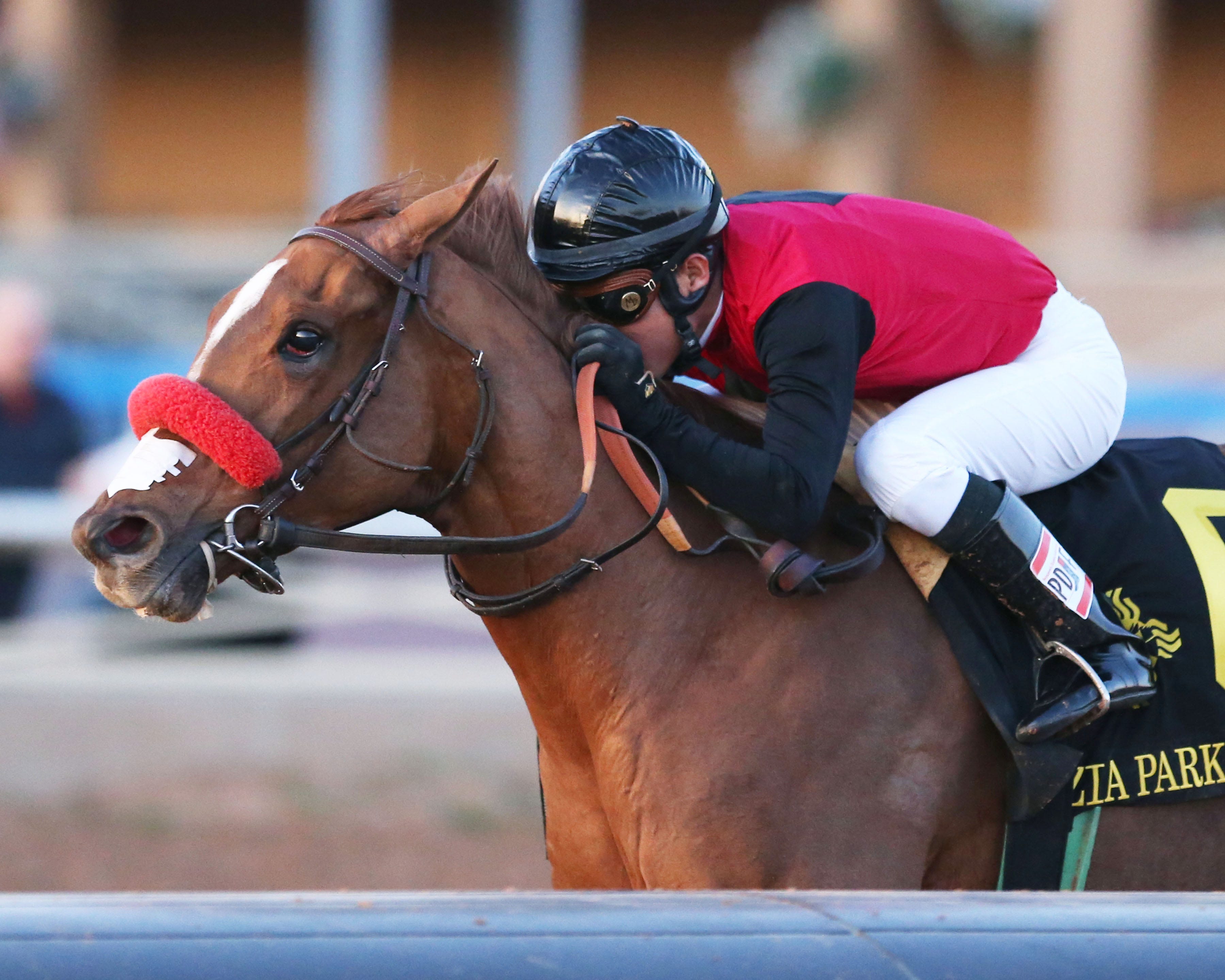 Sandy's Surprise invades for Houston Ladies Classic