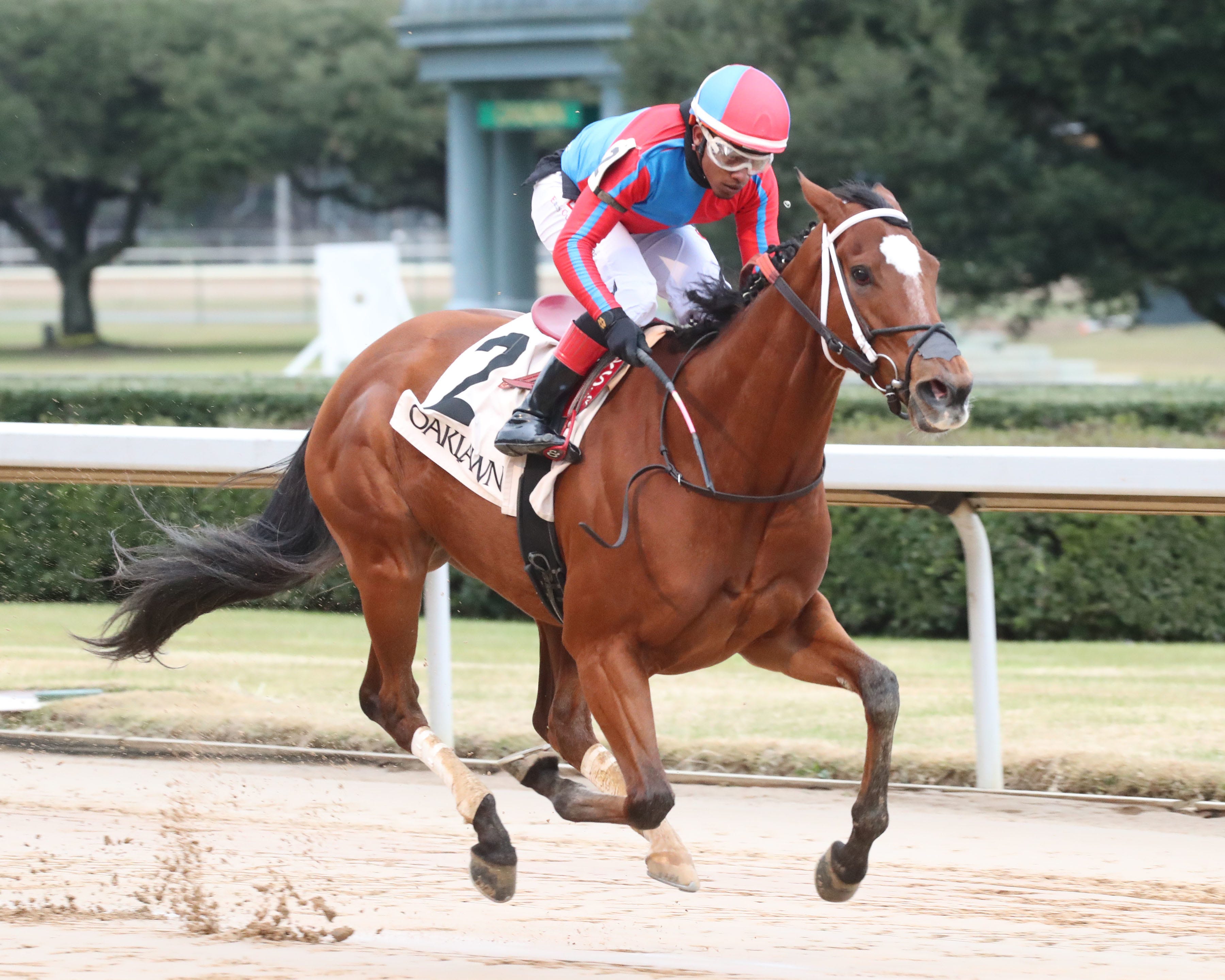 Sarah Harper, Lovemesomeme look to bounce back