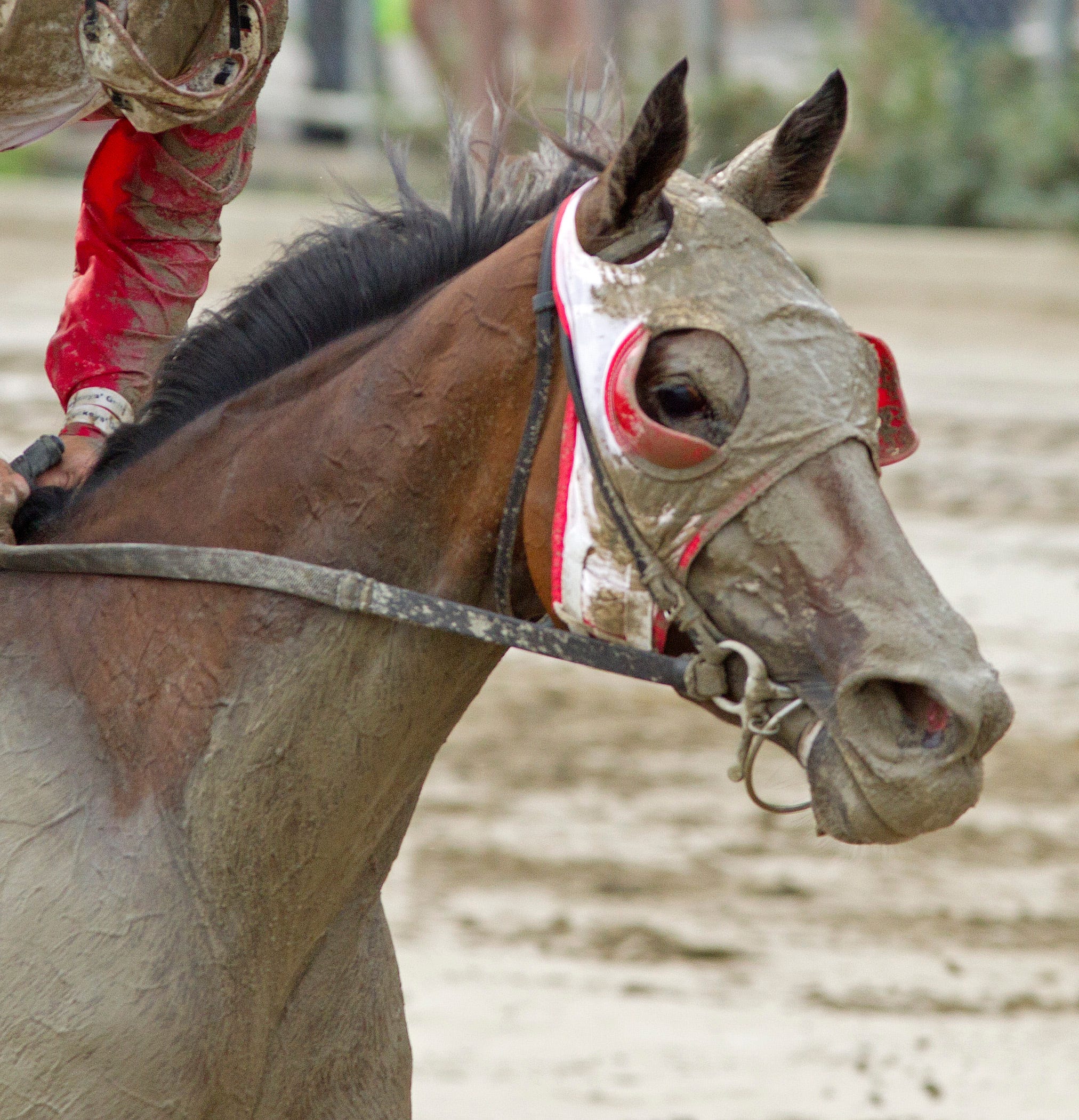 Filimbi ready after difficult U.S. debut