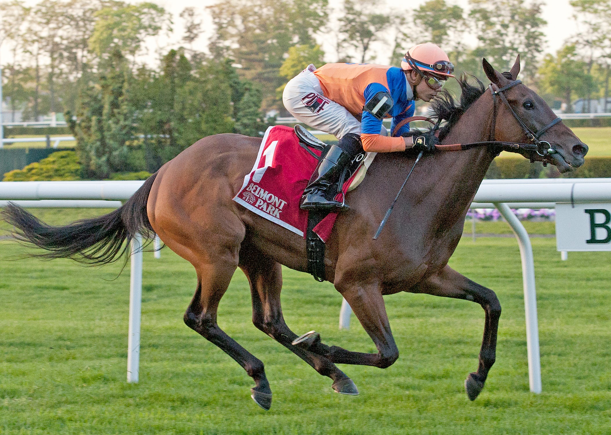 Sea Calisi runs to her brilliant training