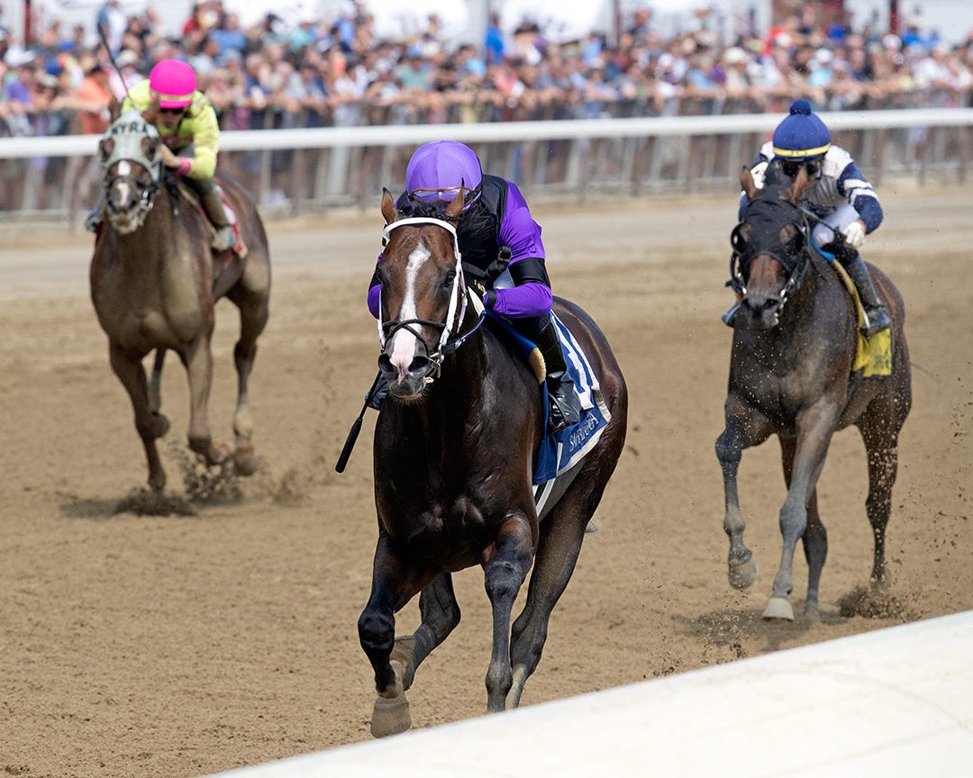 Sea Foam wires field in Evan Shipman, giving trainer Michelle ...