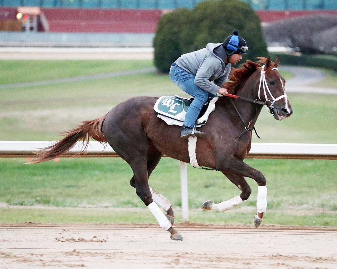 Secret Oath looks to continue her dominance in Honeybee Stakes