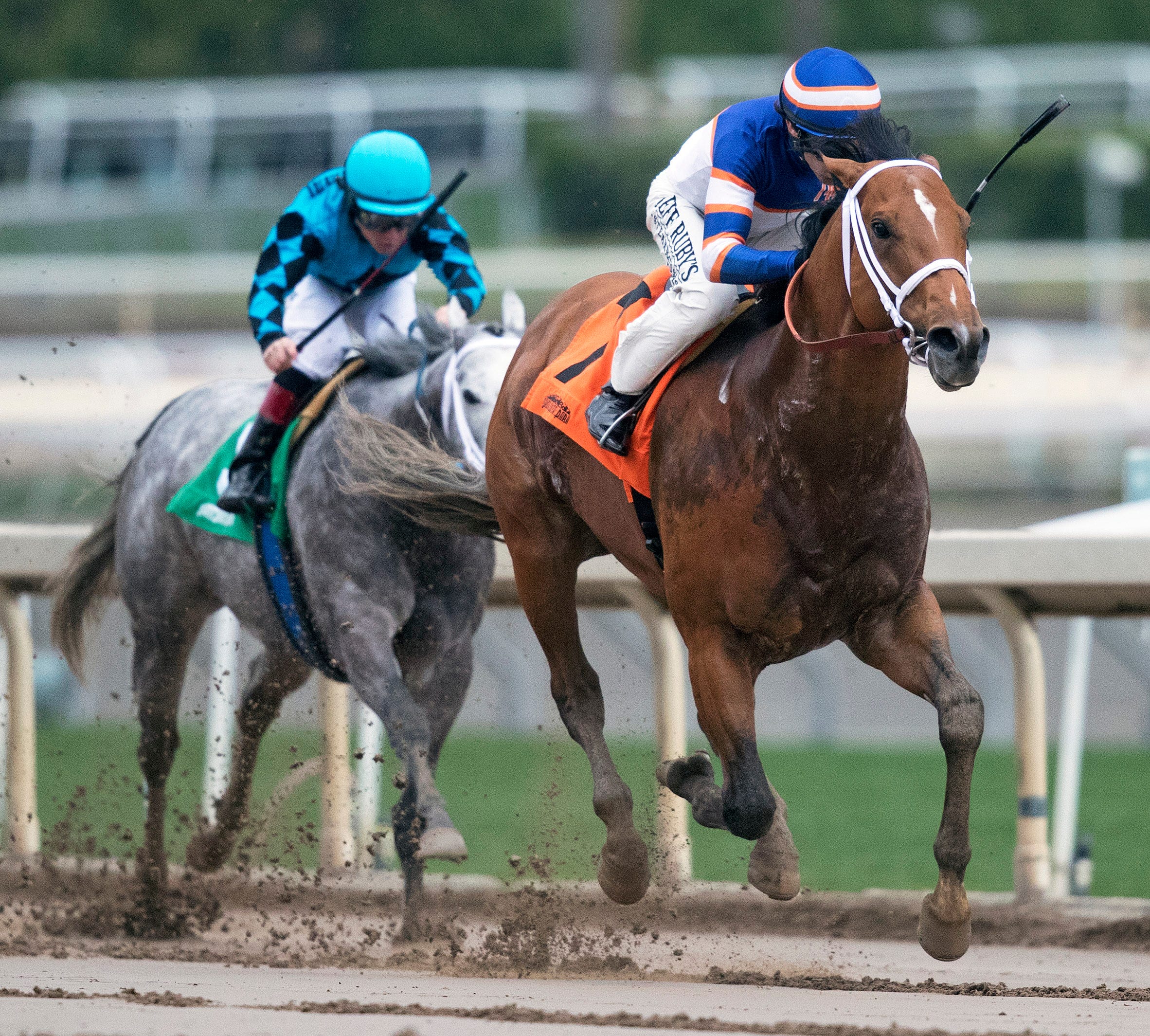 Tough Sunday takes Sensational Star triumph