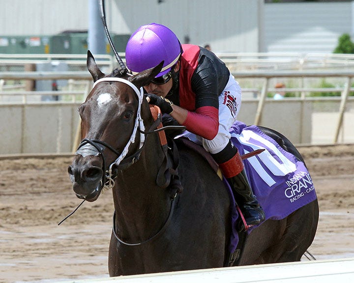 Seven Nation Army a top contender in deep sprint feature