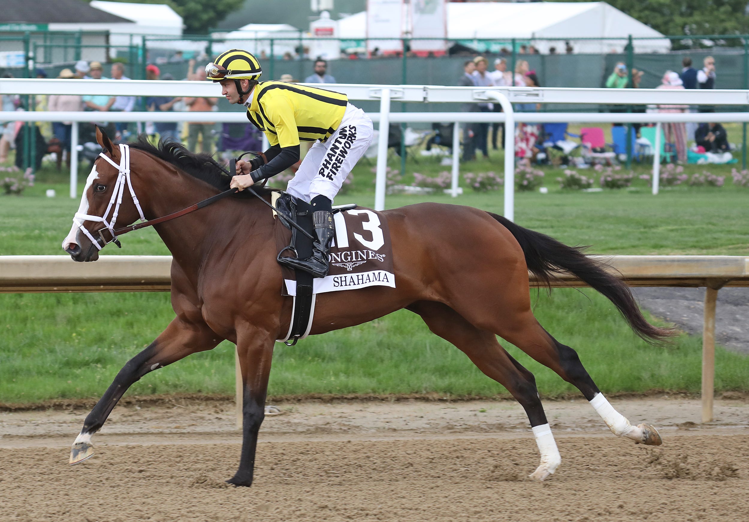 Shahama might again have Juju's Map's number in Monmouth Oaks