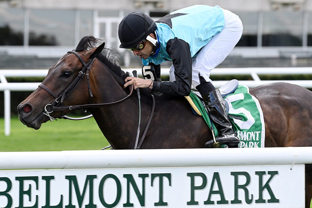 DRF's Horse Racing Playbook for Saturday, July 1, 2023