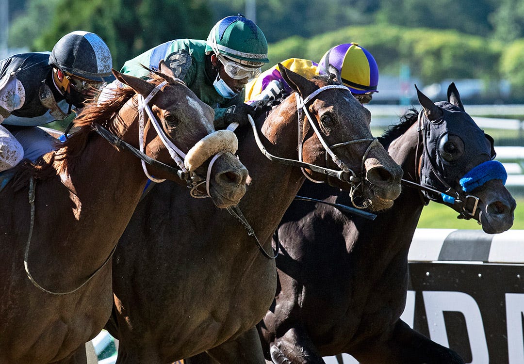 She's a Julie stands out in Molly Pitcher