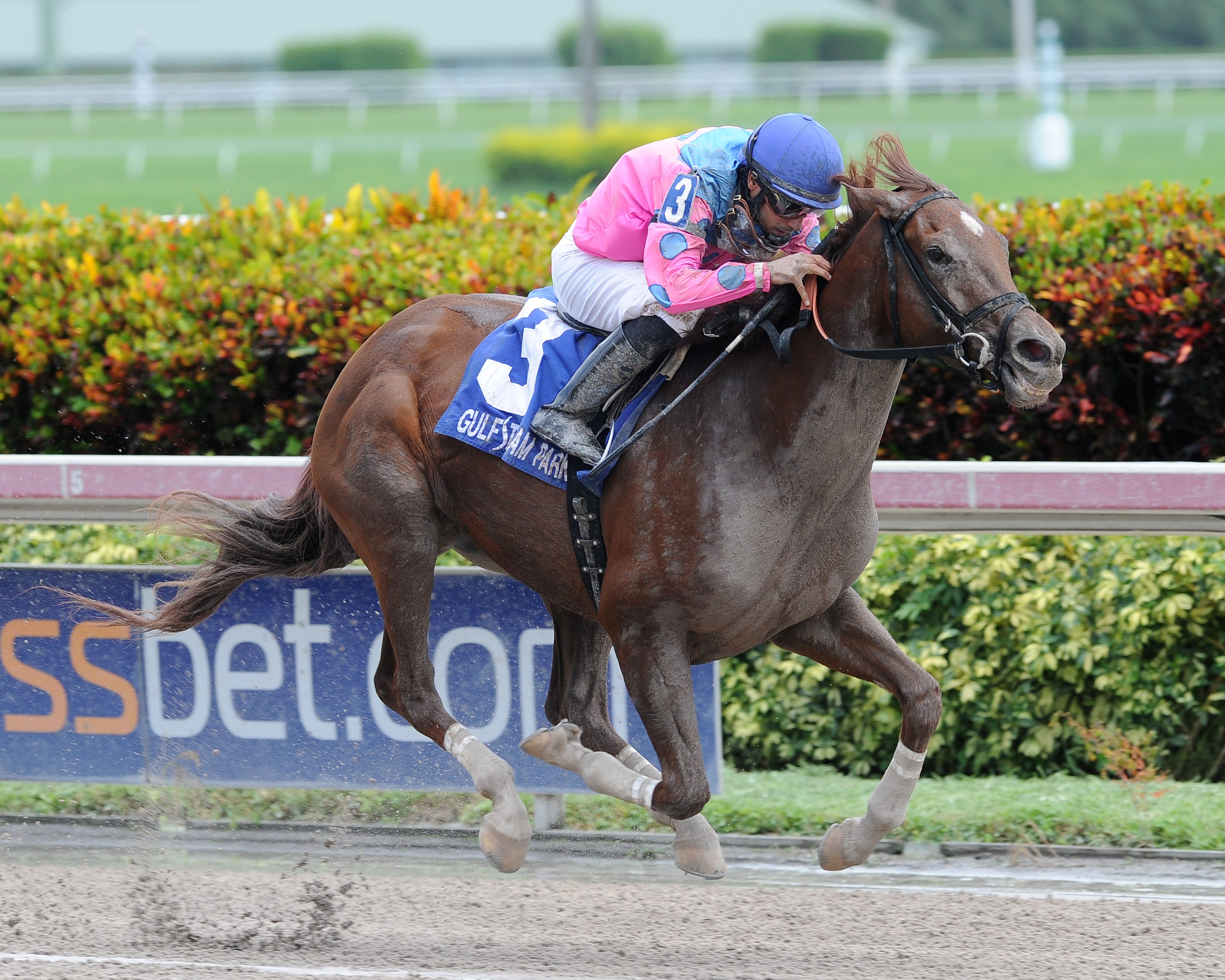 She’s Incredible wins maiden in Meadow Star Stakes