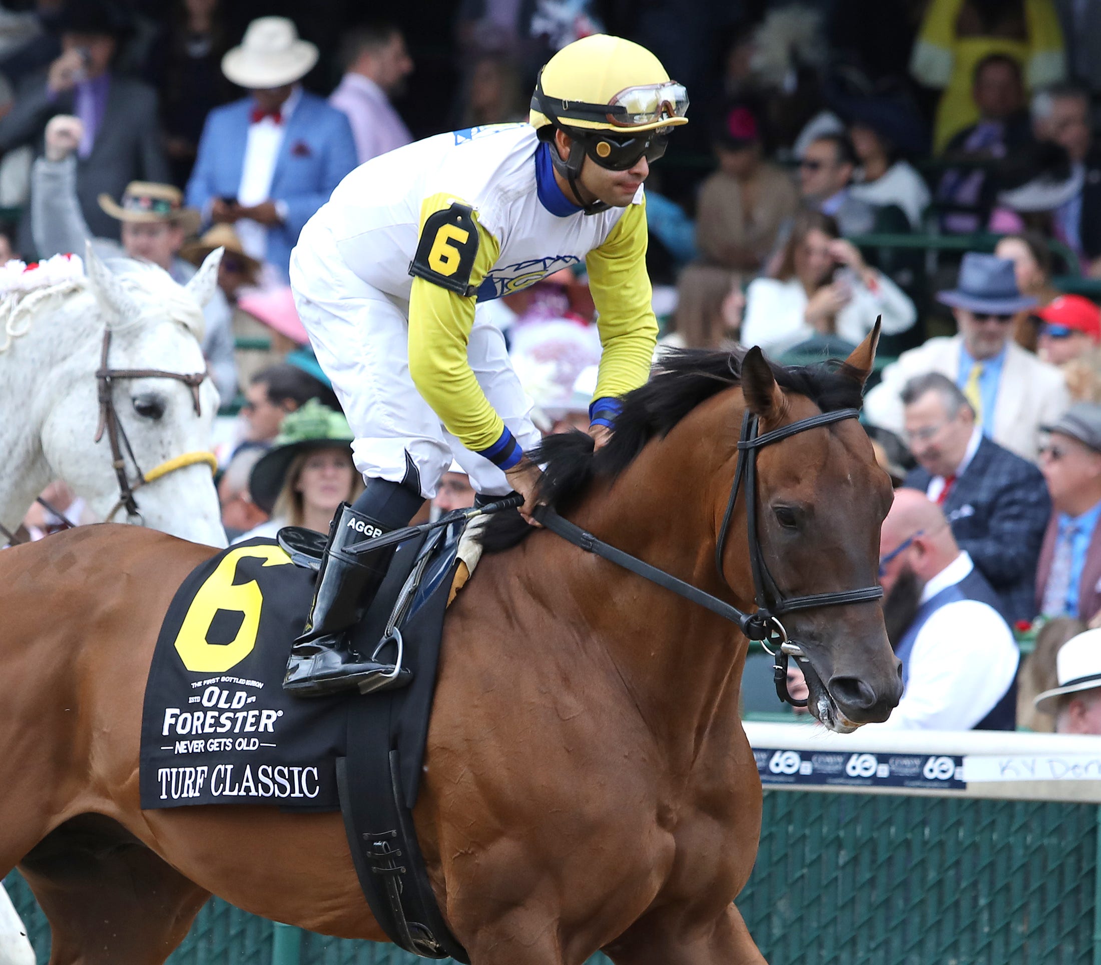 Recovered from wasp attack, Fipke heads to Japan for February Stakes