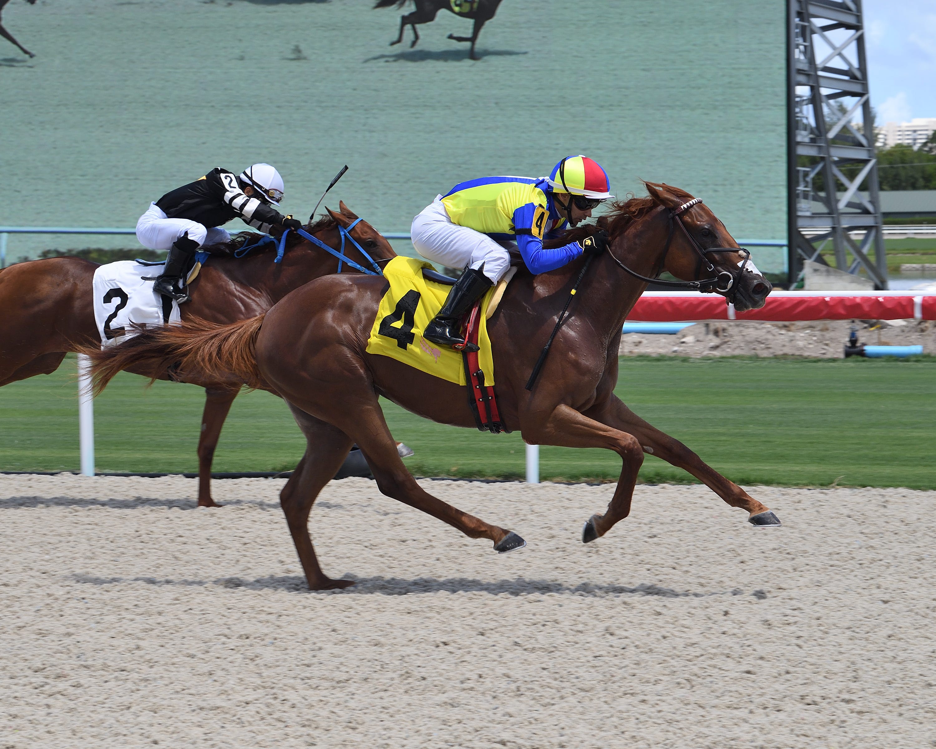 Showgirl Lynne B finds room on rail in Sharp Susan Stakes