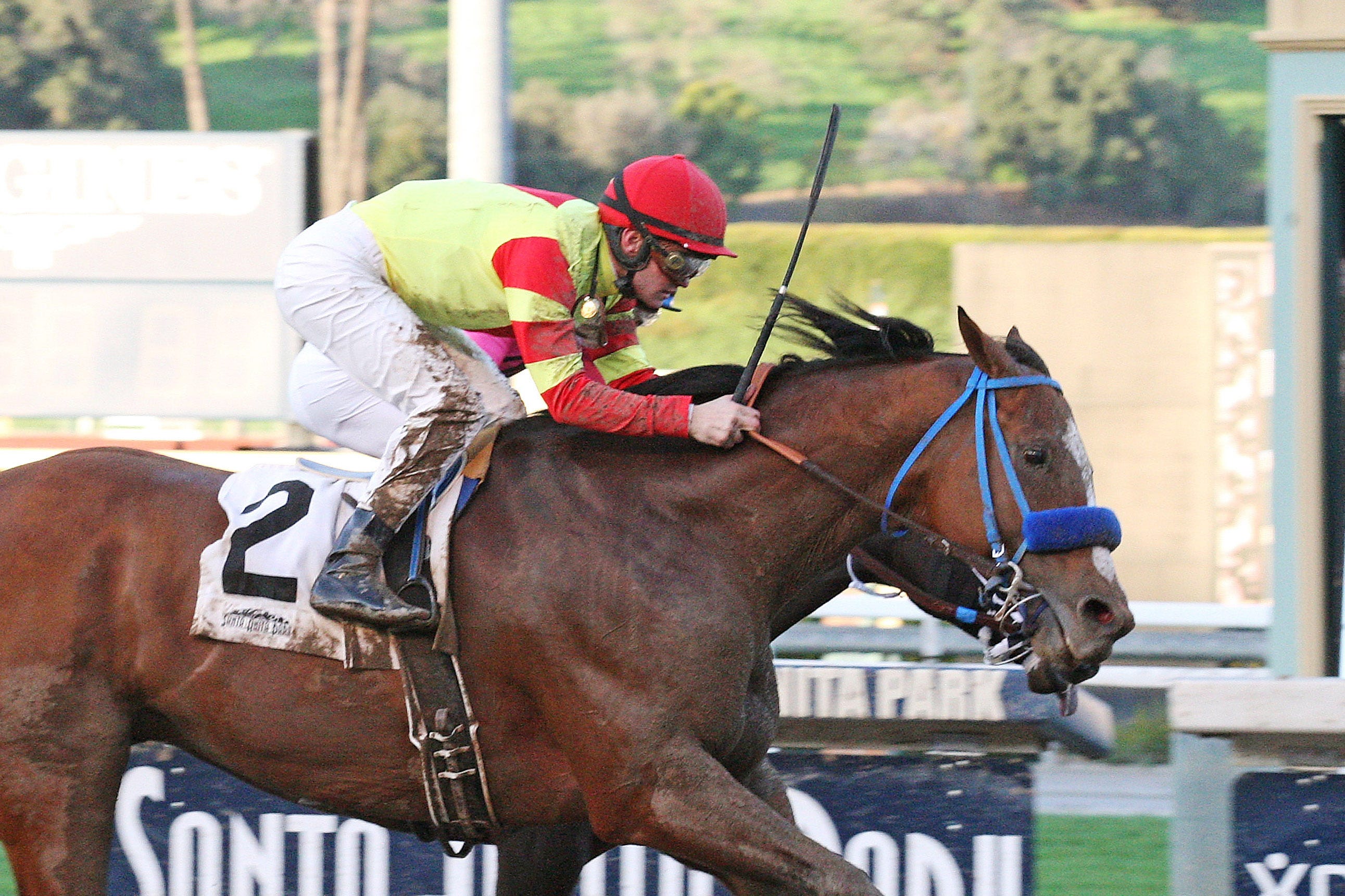 Silent Bird to skip San Antonio Stakes, point to Triple Bend