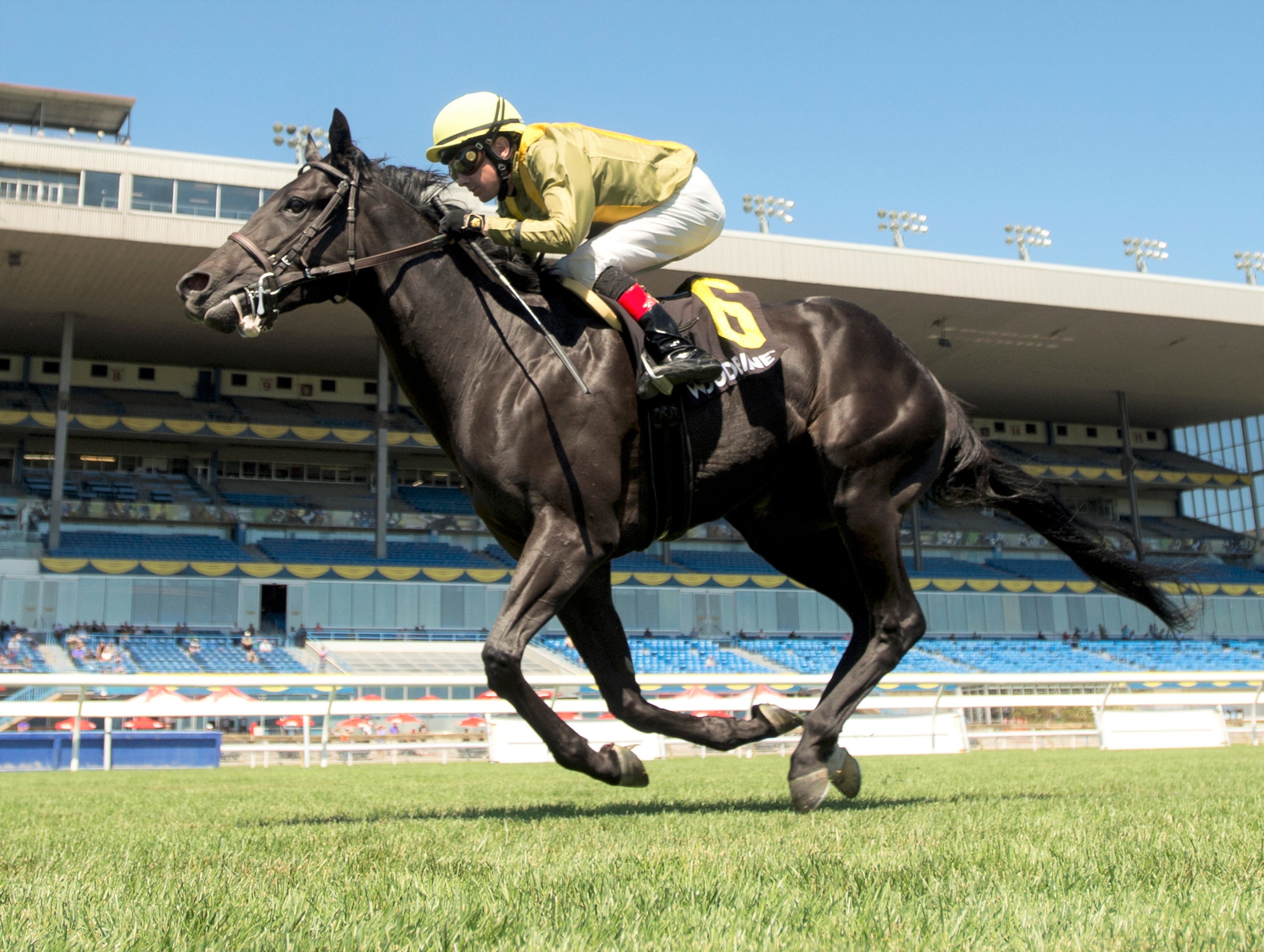 Thunder Bay pits Tino Attard vs. son Kevin