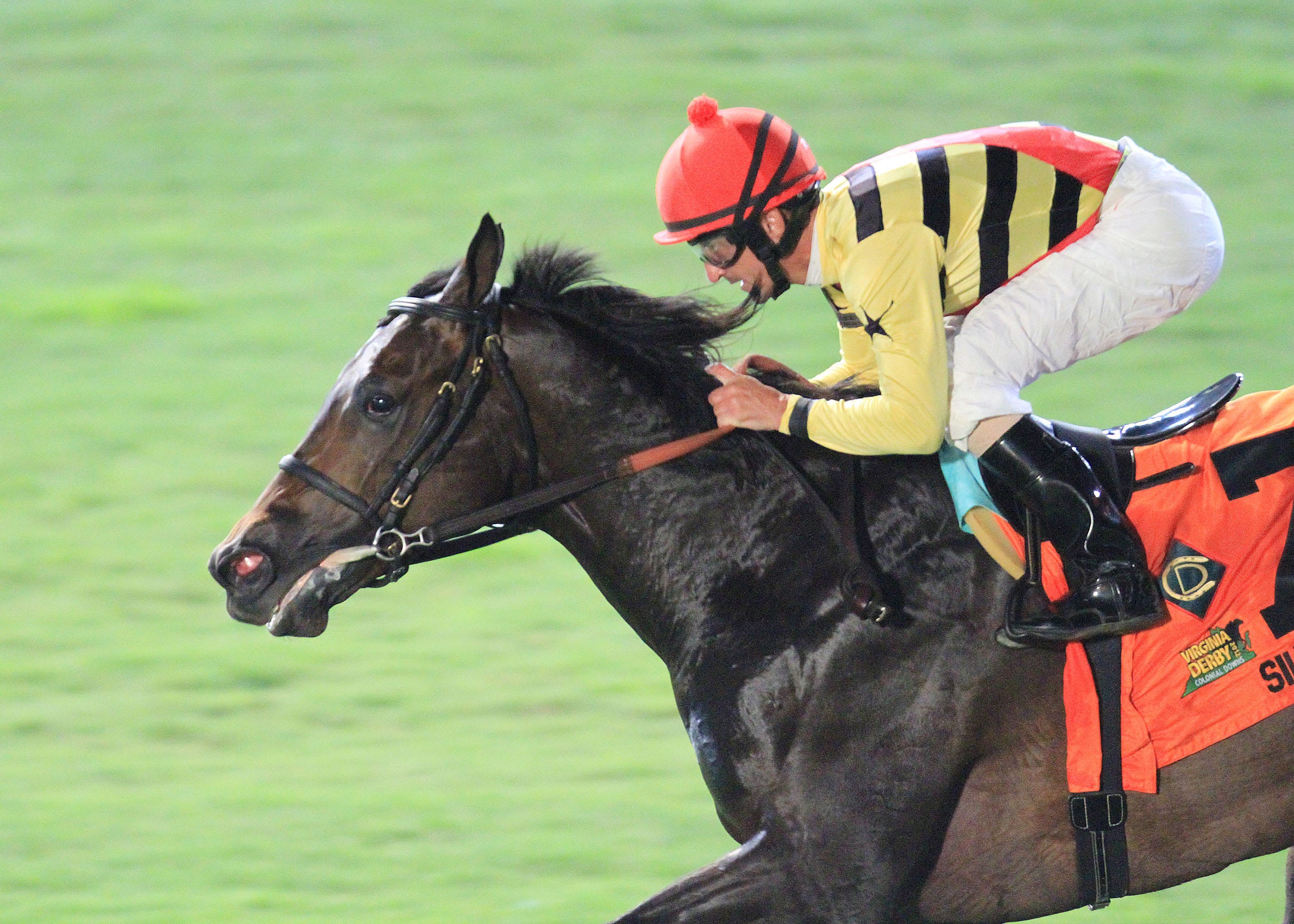 Arlington Park: Silver Max has partners riding high