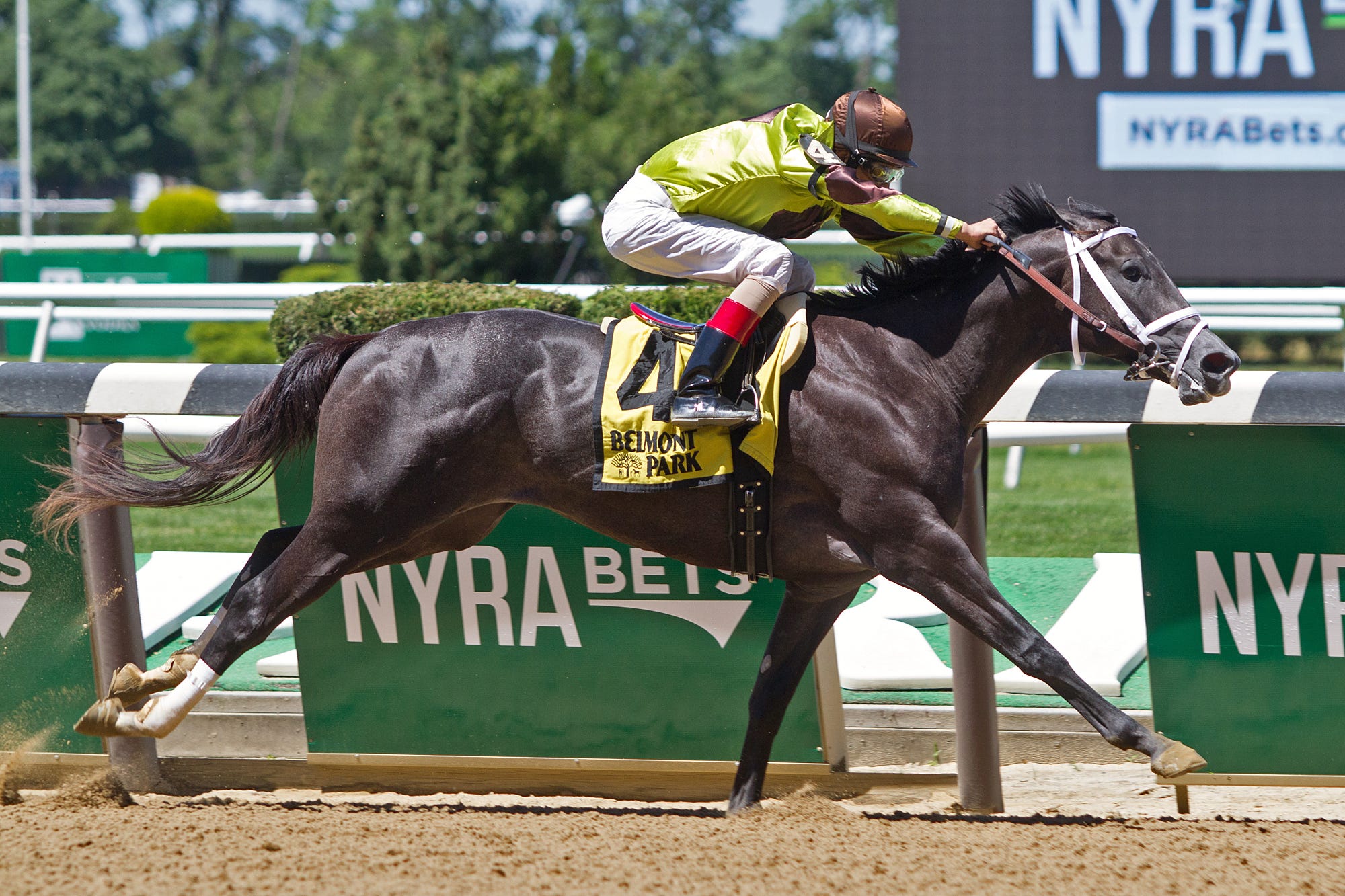 Silver Mission vs. Runaway Lute in Rockville Centre