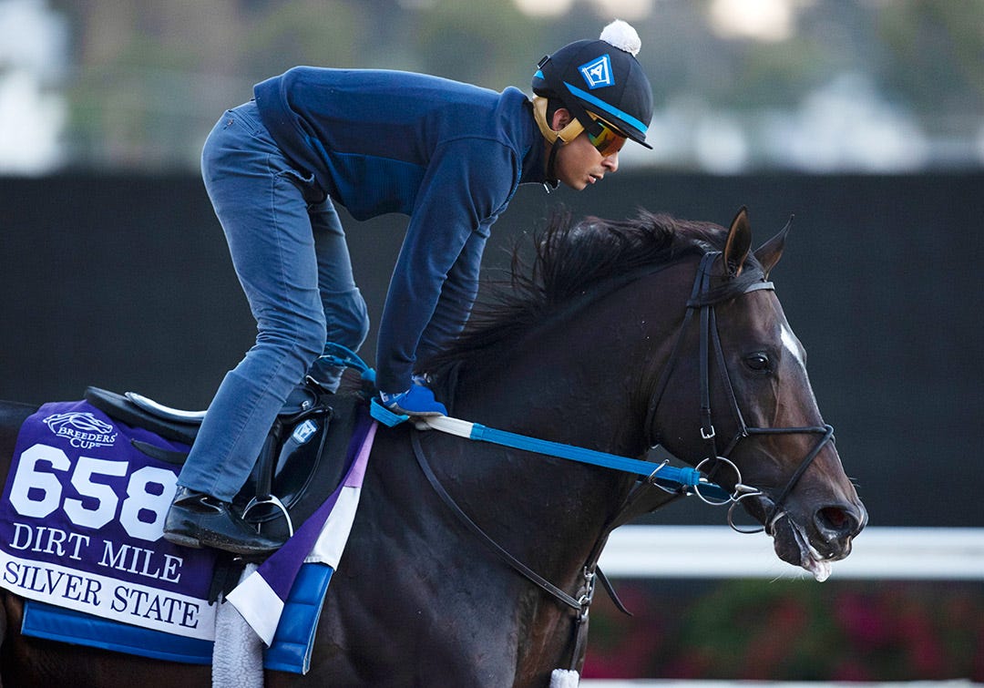 Breeders' Cup Dirt Mile becoming producer of top sires