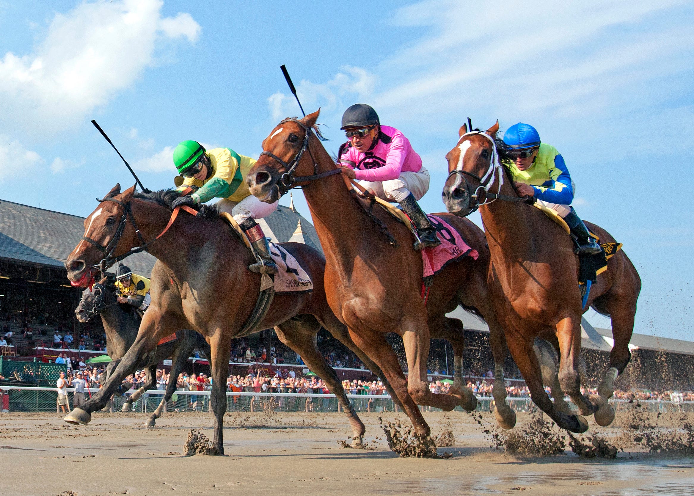 Sinistra prevails in three-horse Evan Shipman photo