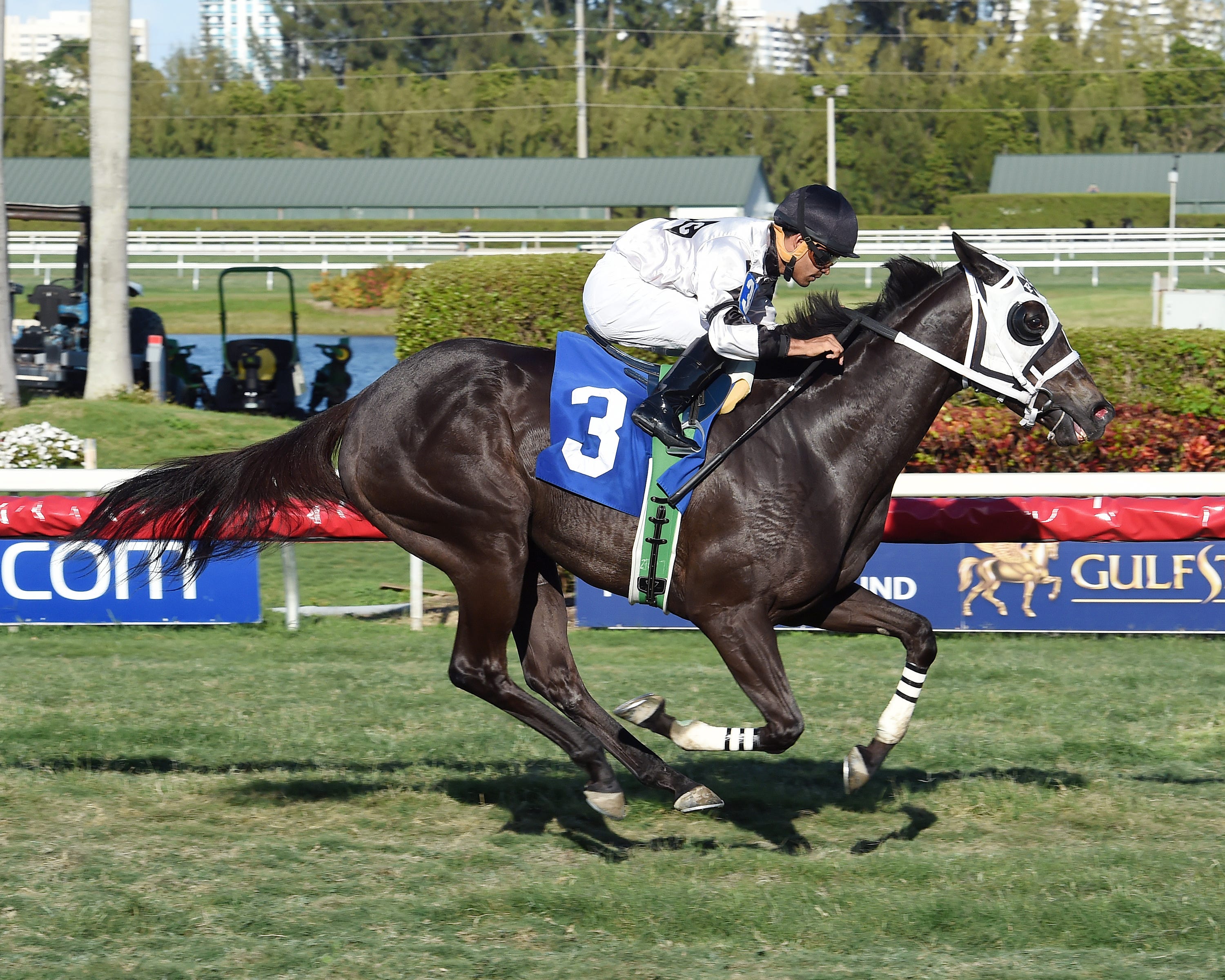 Saez hits century mark in bid for riding title