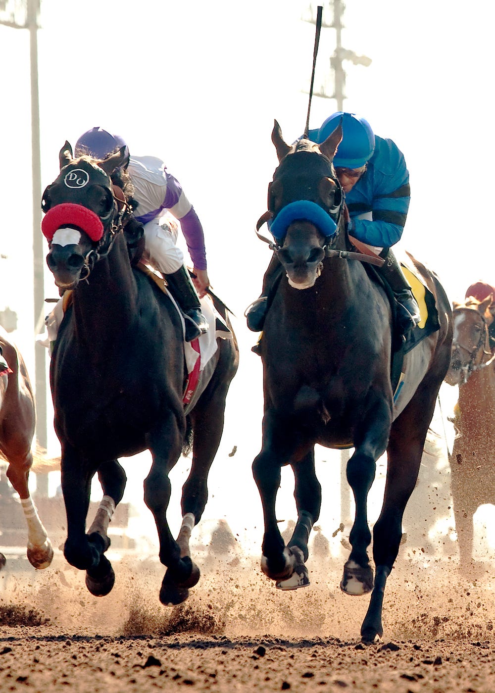 Handsome Mike stays put for San Diego Handicap