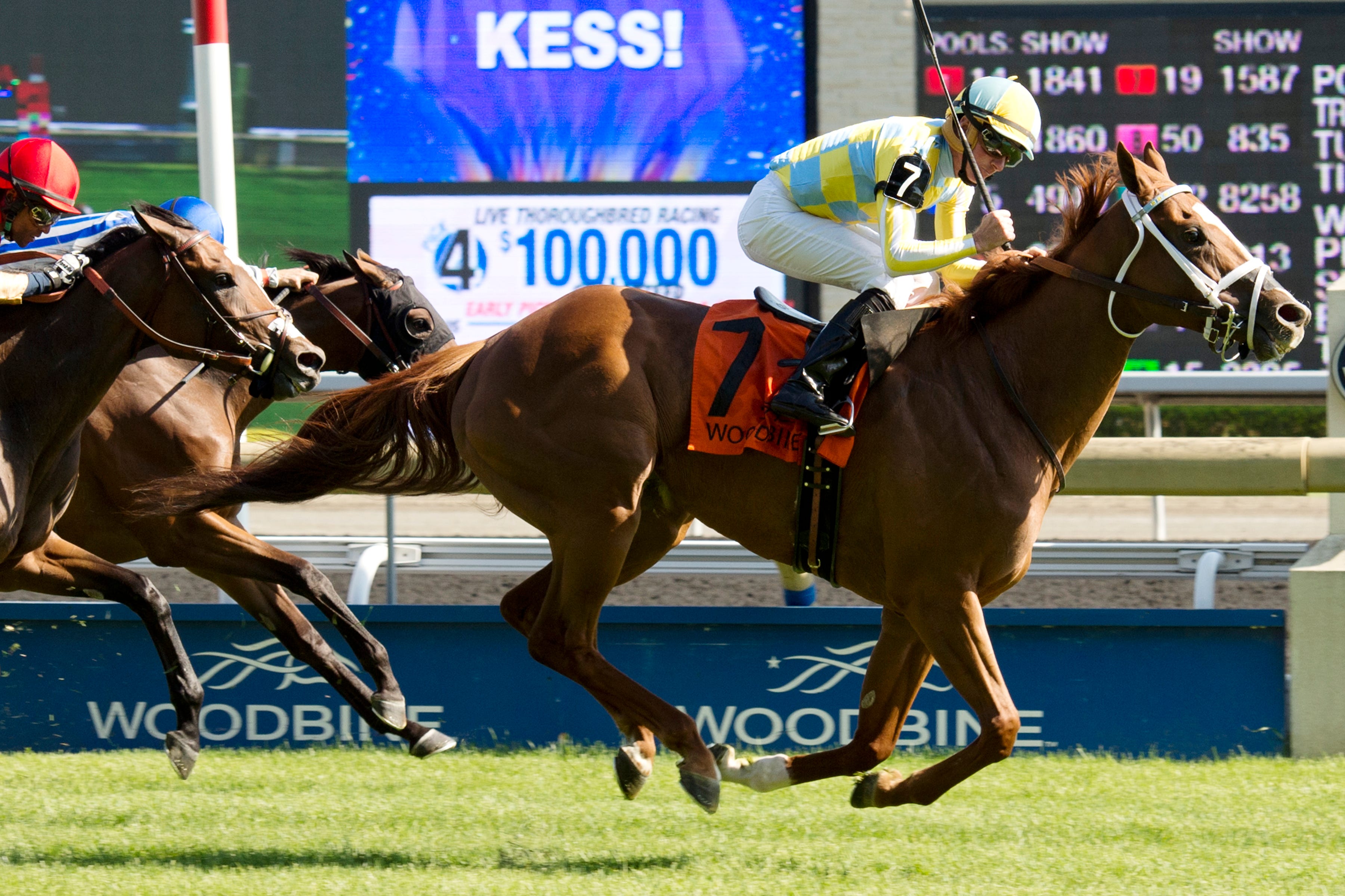 Sky Treasure gets distance test in Dance Smartly